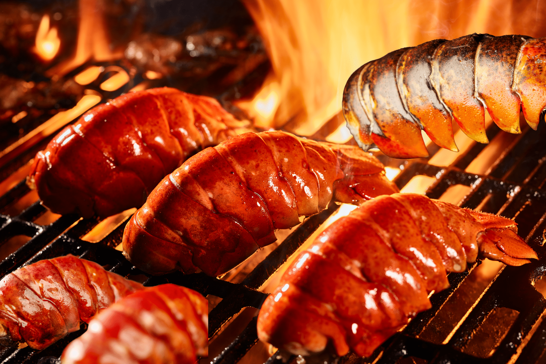 Christmas Dinner Ideas on the Grill For the Best Holiday Meal