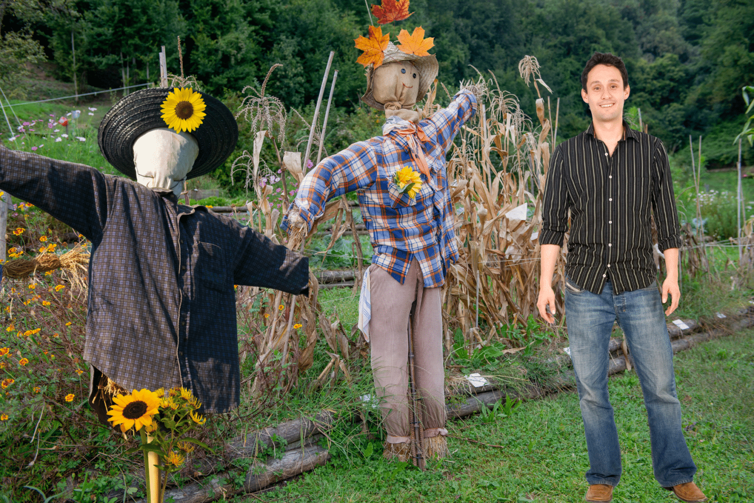 Fun Fall Party Games and Activities to Enjoy This Season - Basic Home DIY