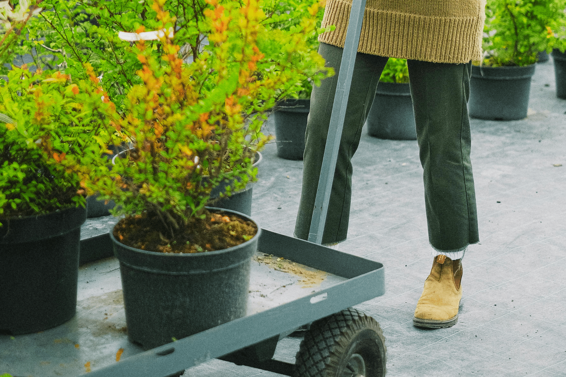 The Ultimate Guide to Choosing and Using a Garden Cart